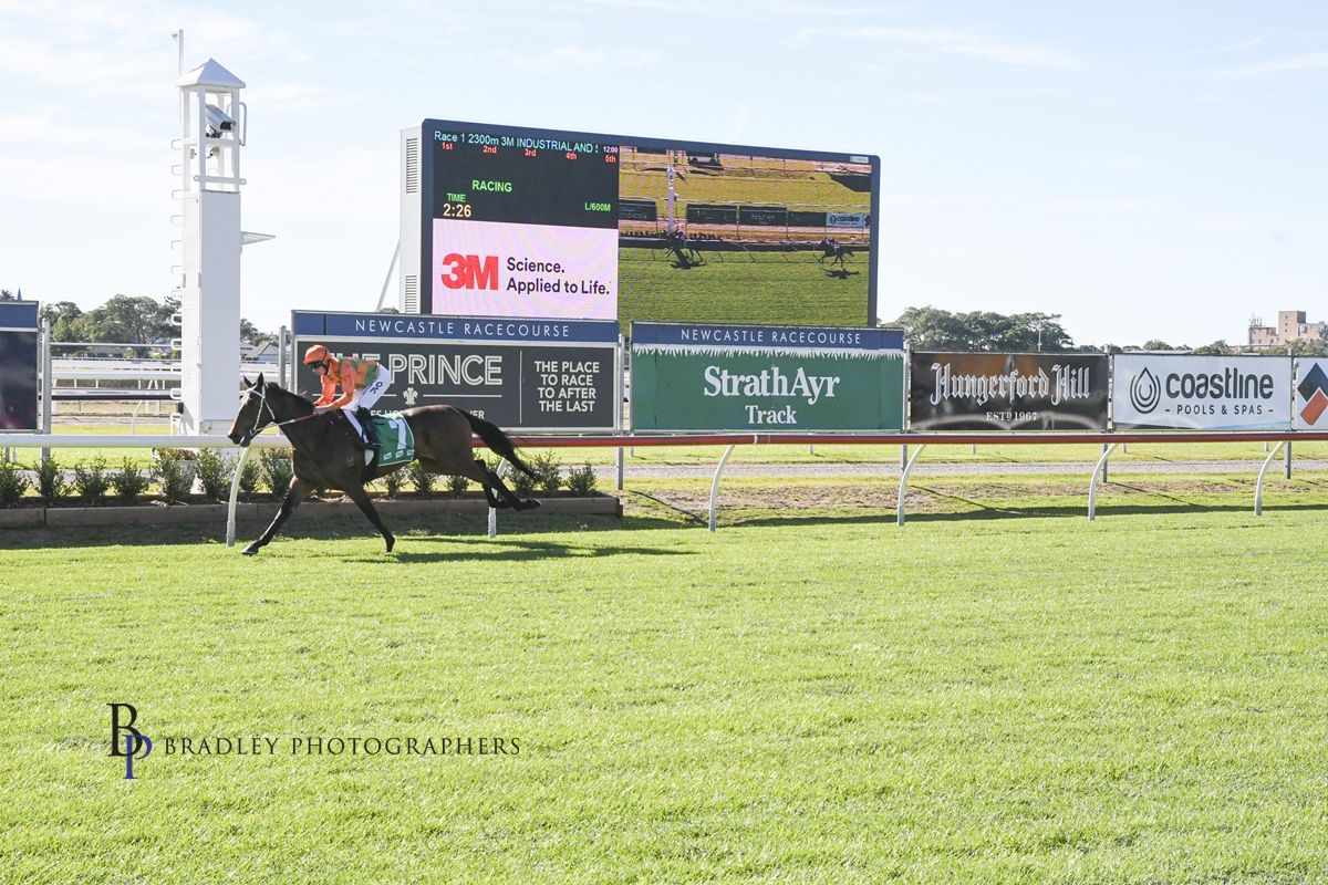 Winning Winning Point... - Murray Racing