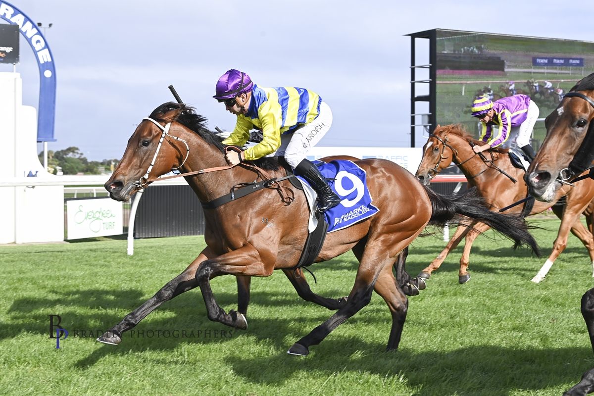 Australian Horse Trainer - Murray Racing