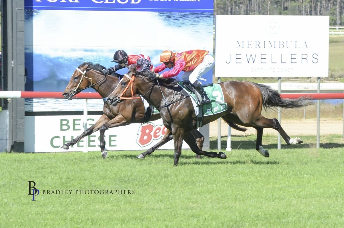 Australian Horse Trainer - Murray Racing