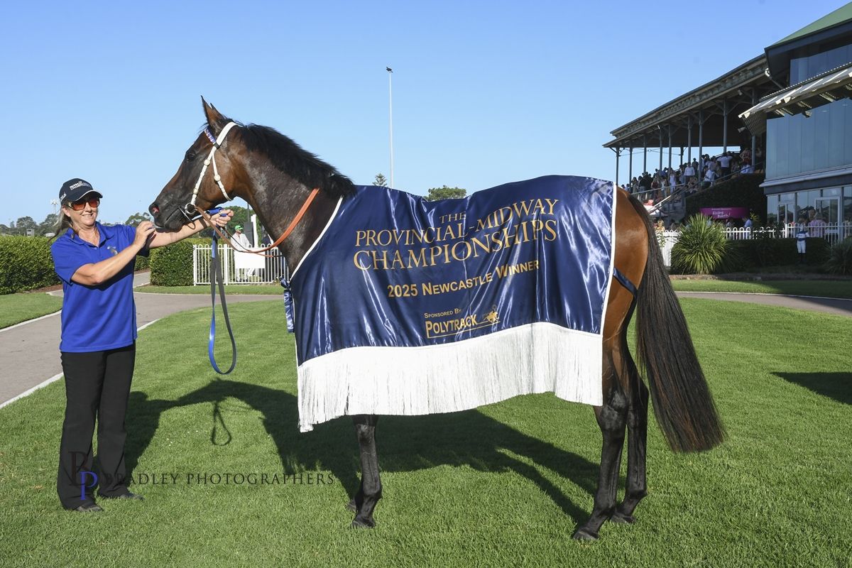 Australian Horse Trainer - Murray Racing