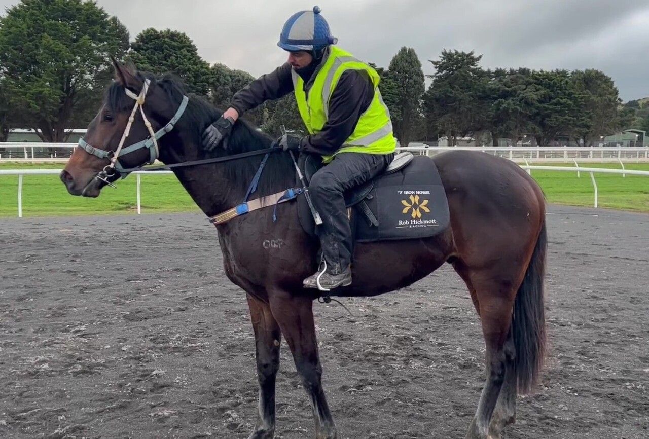 Horses Available - Delbridge Racing