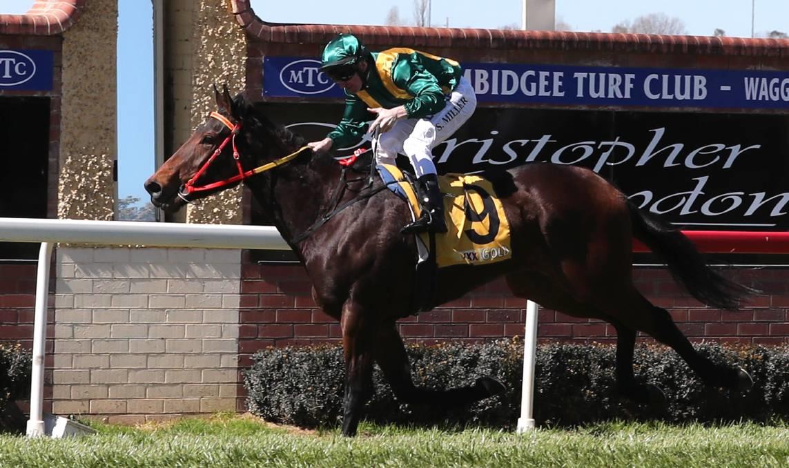 Dutchesse Moshe salutes on debut - Joseph & Jones Racing