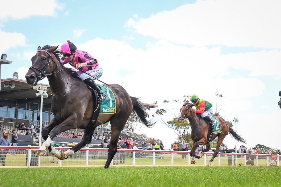 Balabushka goes whooshka - Emsley Lodge