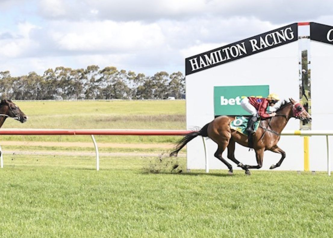 Interstate hopes after "Jeffrey" win - Emsley Lodge