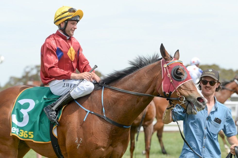 "Jeffrey" completes Jason's comeback - Emsley Lodge