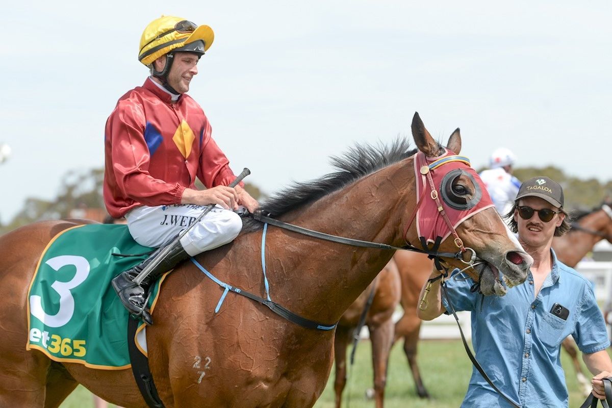 "Jeffrey" completes Jason's comeback - Emsley Lodge