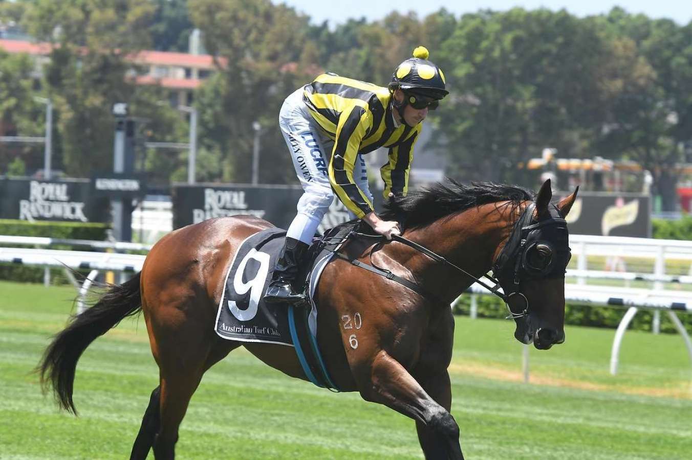 Home - Todd Smart Racing