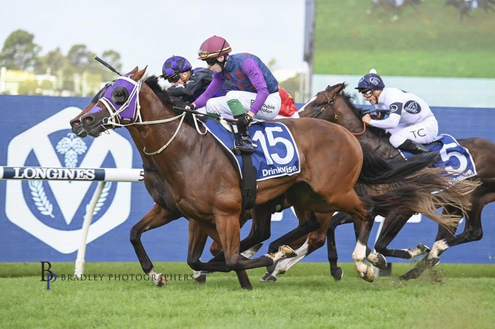 CHAMPIONSHIPS LASTEST CHAPTER IN SHELBY - Danny Williams Racing