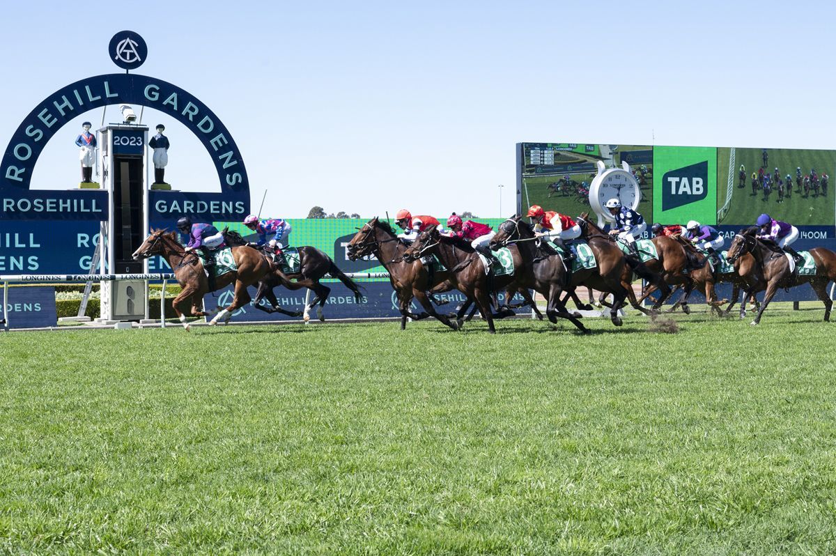 Stormy Witness Flies Under the Radar - Danny Williams Racing