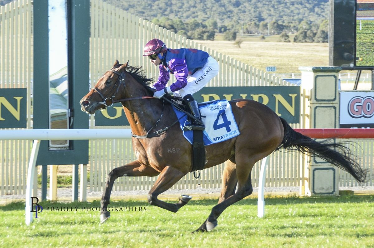 Double for Dale Cole as Chemtrail Delivers at Goulburn - Danny Williams ...