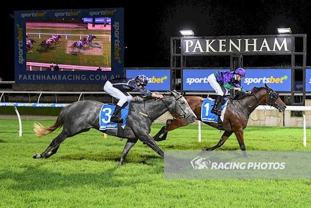 Saltpeter Bounces Back Into Form At Pakenham - Moloney Racing