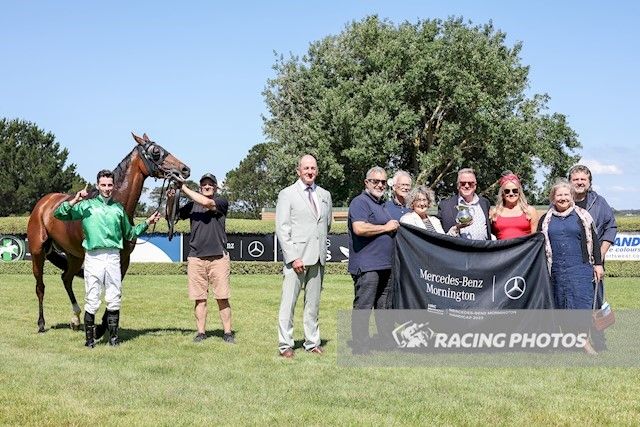 Dictionary is the Word! - Moloney Racing