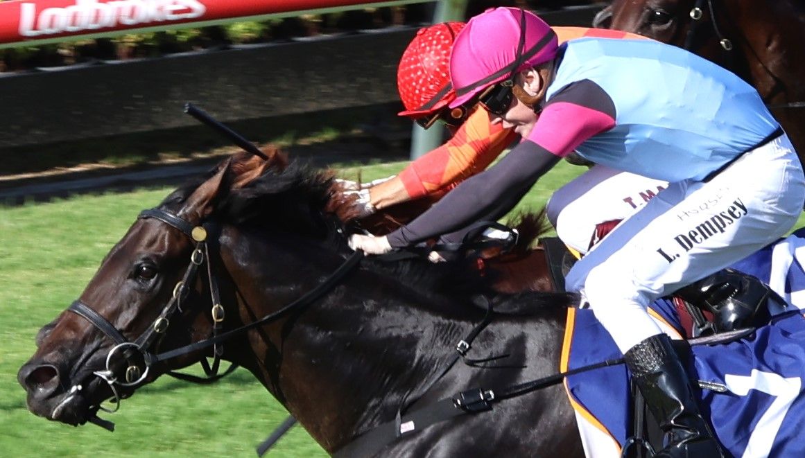 Give Me Space rockets into MM3YO Guineas calculations with victory in ...