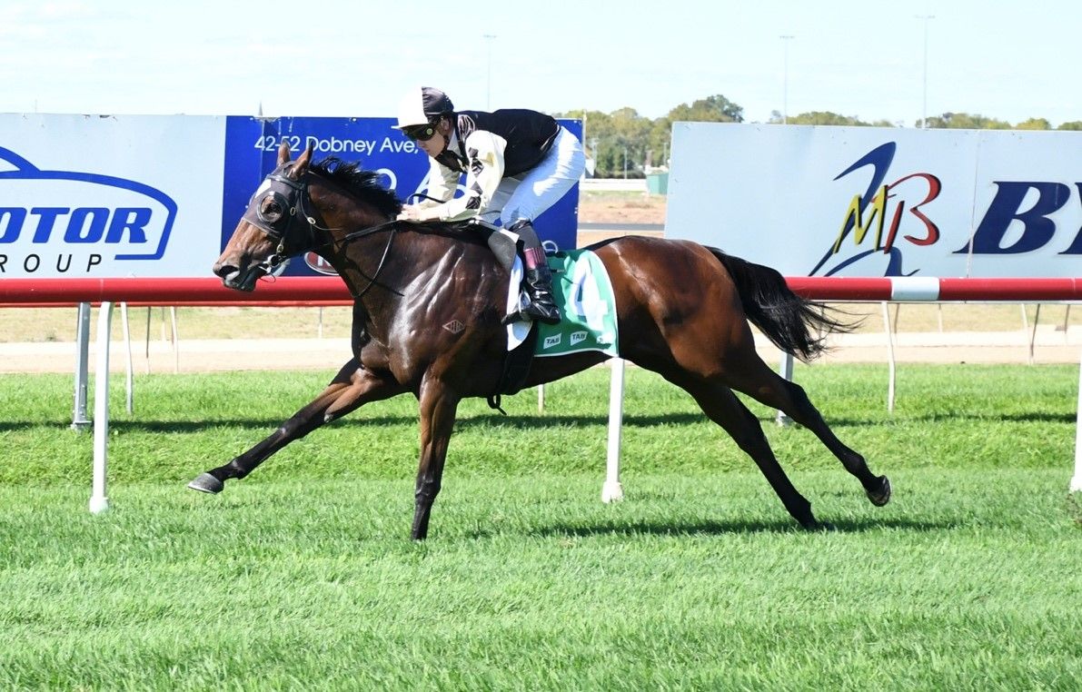 Stable News - Hazel Park Racing