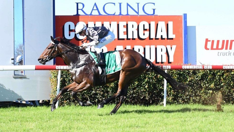 Incentive Looks An Exciting Galloper - Hazel Park Racing