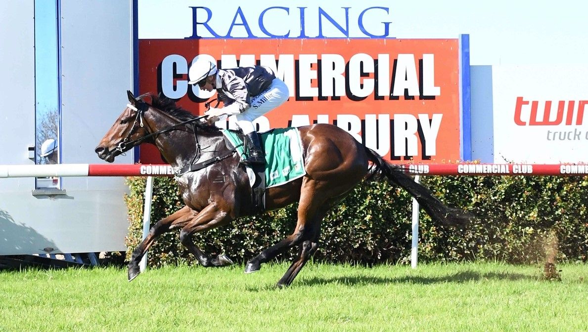 Stable News - Hazel Park Racing