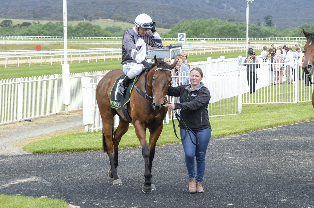 Winning Weekend - Hazel Park Racing