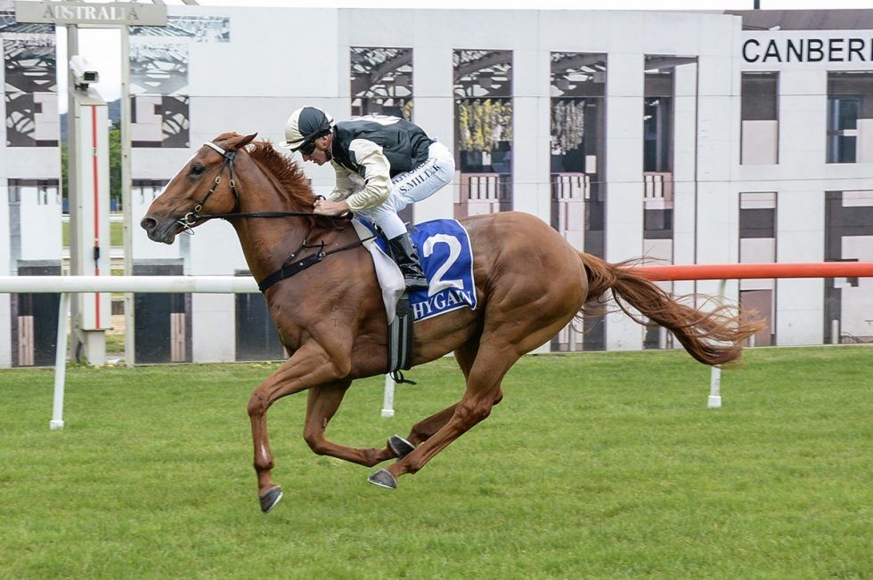 Home - Hazel Park Racing