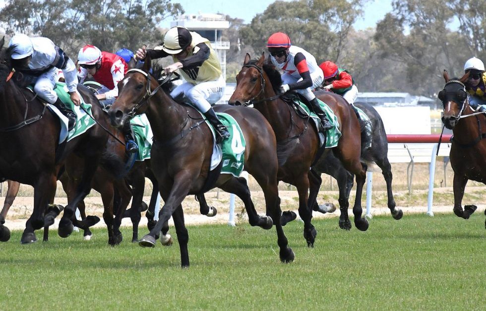 Home - Hazel Park Racing