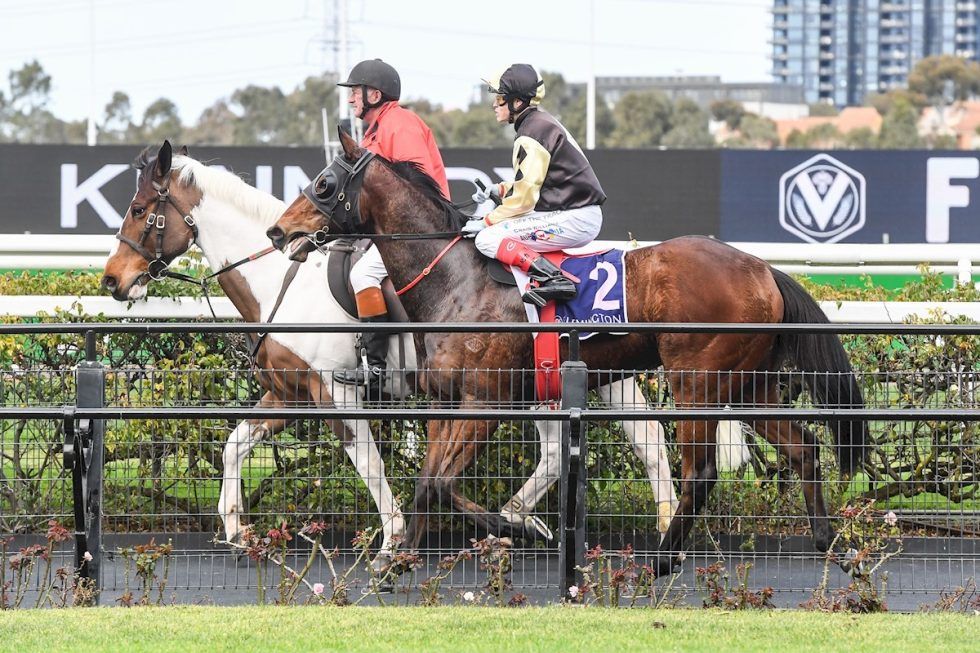 Home - Hazel Park Racing