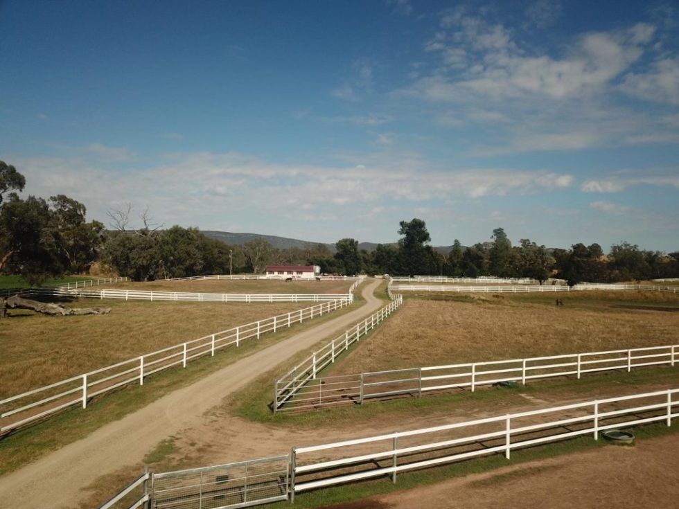 Facilities - Hazel Park Racing
