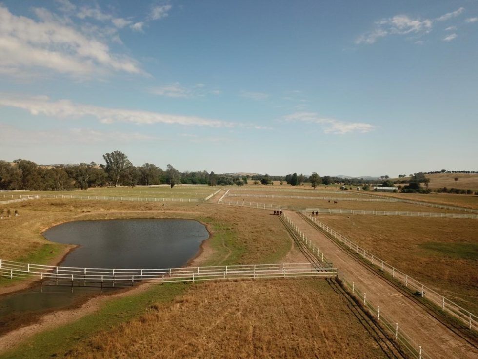 Facilities - Hazel Park Racing