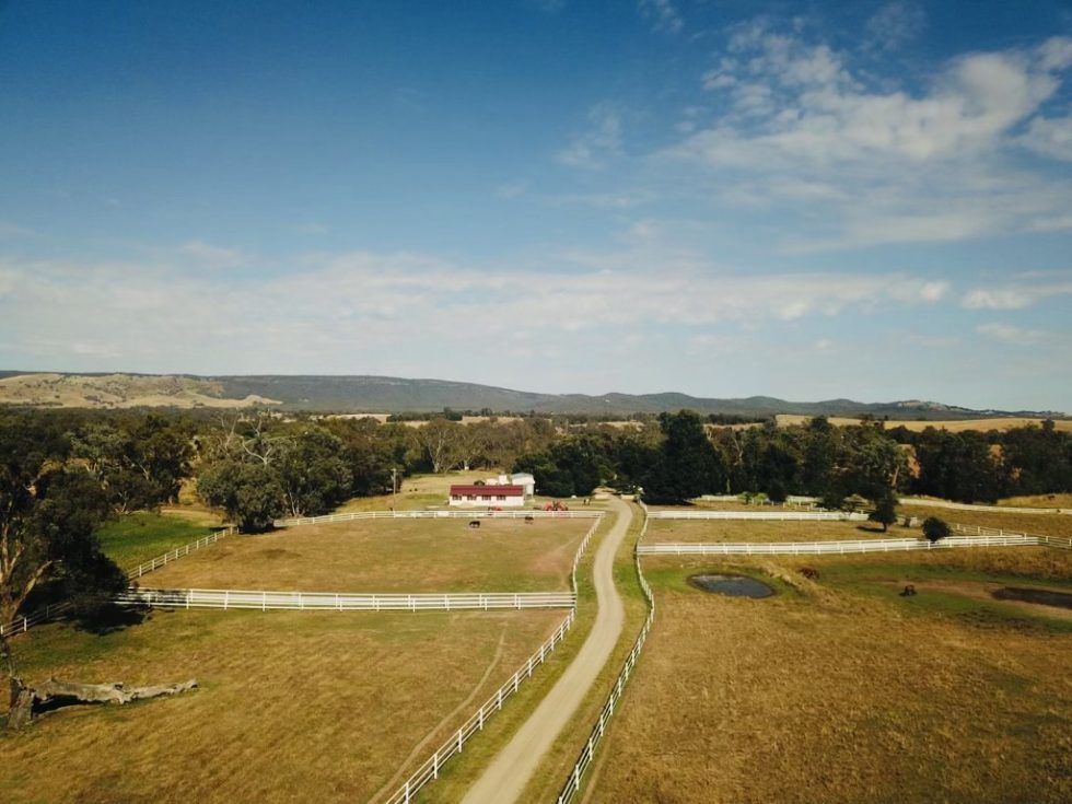 Facilities - Hazel Park Racing