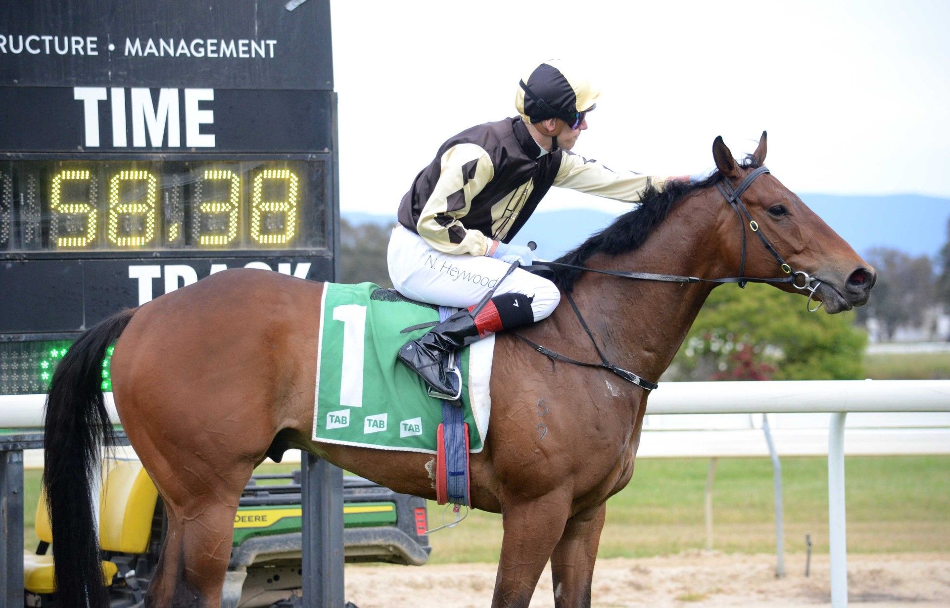 Can Nick Heywood make it 3 for 3 on Arthur The Great - Hazel Park Racing