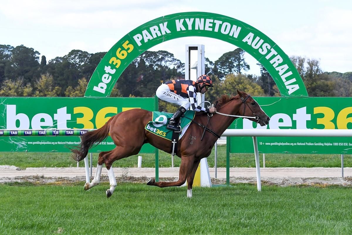 ? FROM DEATH'S DOOR TO SCORE ON DEBUT ? - Best Horse Racing Syndicates ...