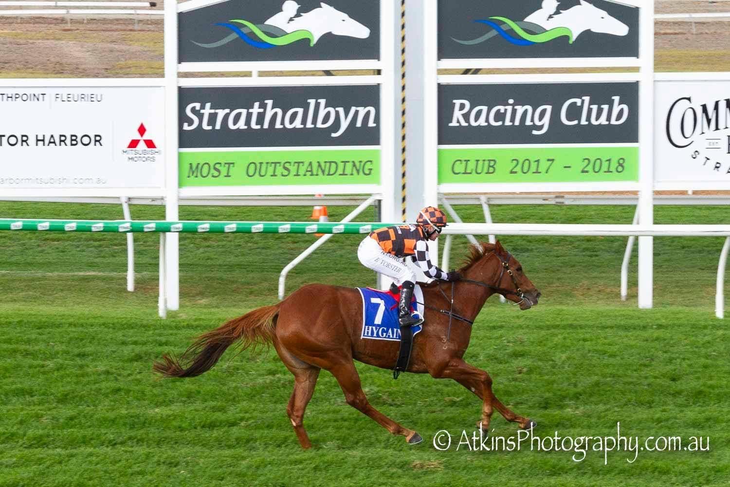 LA CROFT DOMINATES - Best Horse Racing Syndicates & Racehorse Shares ...