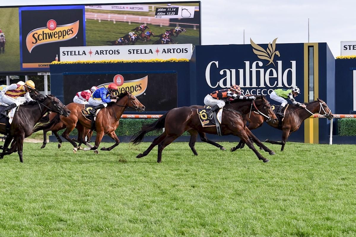 SHE SHAO FLY IS AIR BOURNE - Best Horse Racing Syndicates & Racehorse ...