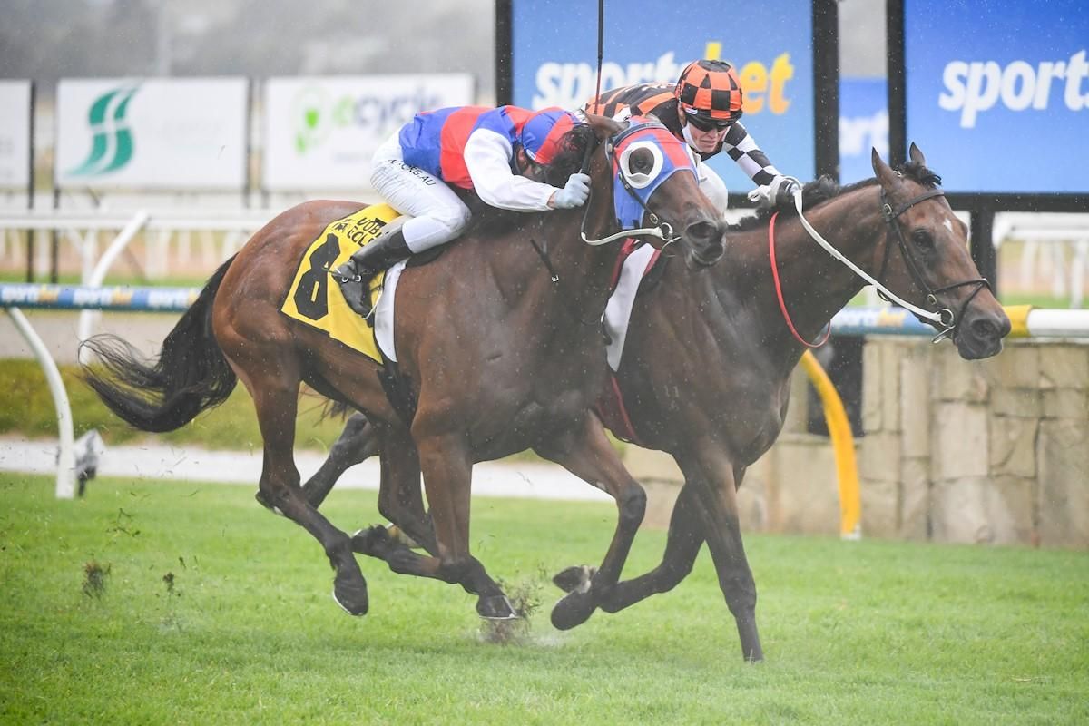 The Astrologist wins VOBIS Gold Bullion - Best Horse Racing Syndicates ...