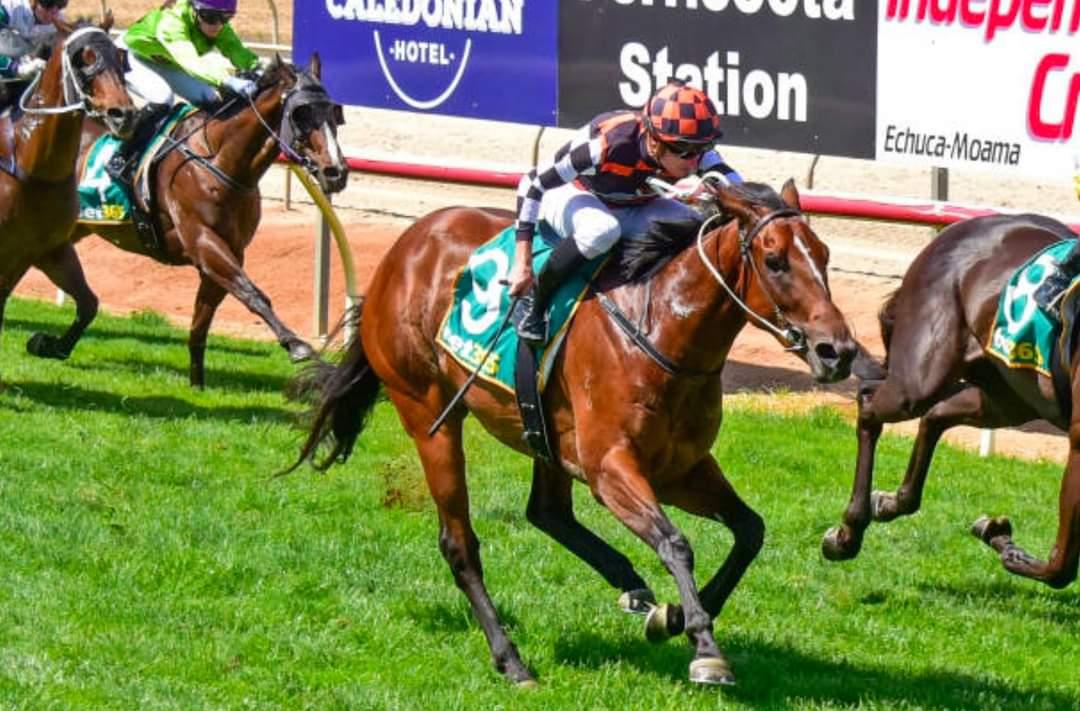 GREAT RETURN WIN TO HOT IN PARIS - Best Horse Racing Syndicates ...