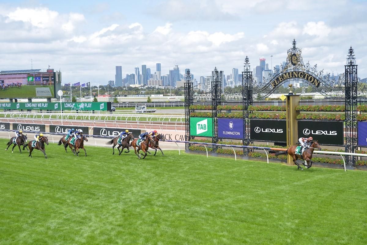 ZOU DANCER SUPER IMPRESSIVE WOW - Best Horse Racing Syndicates ...