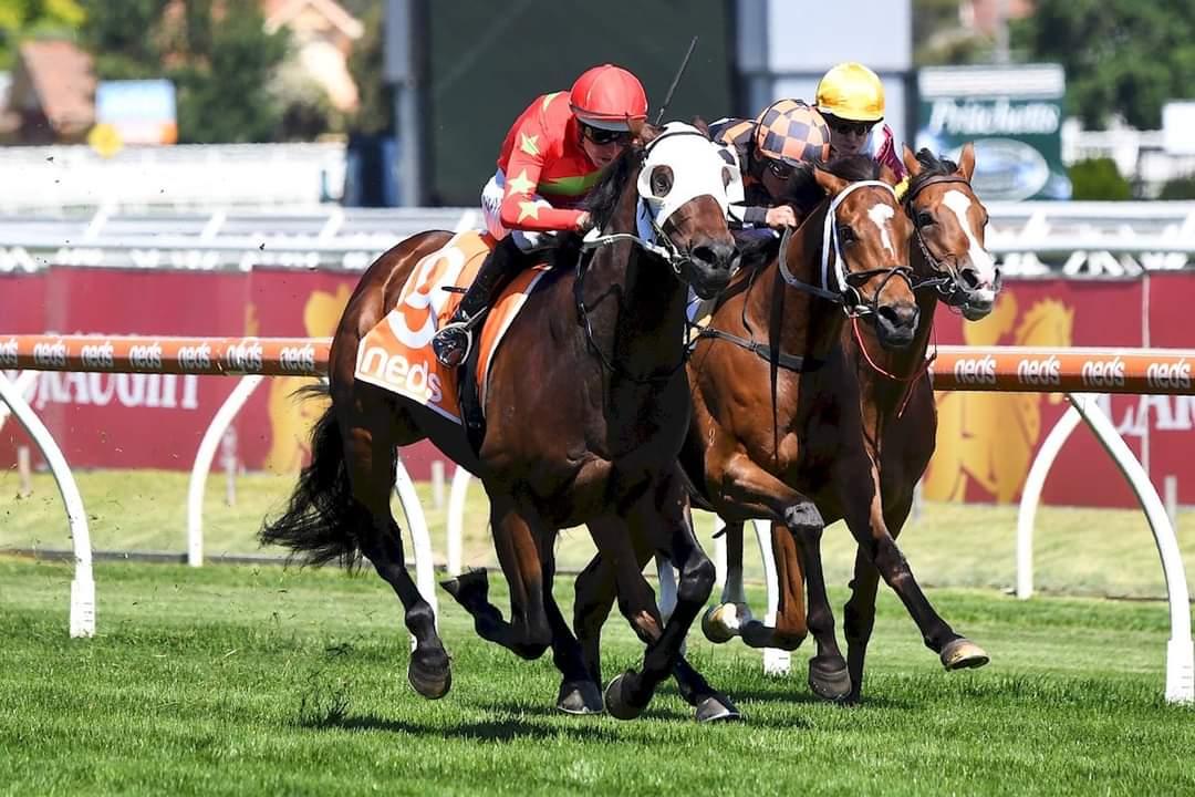 BLAZERRO RUNS A BLINDER - Best Horse Racing Syndicates & Racehorse ...