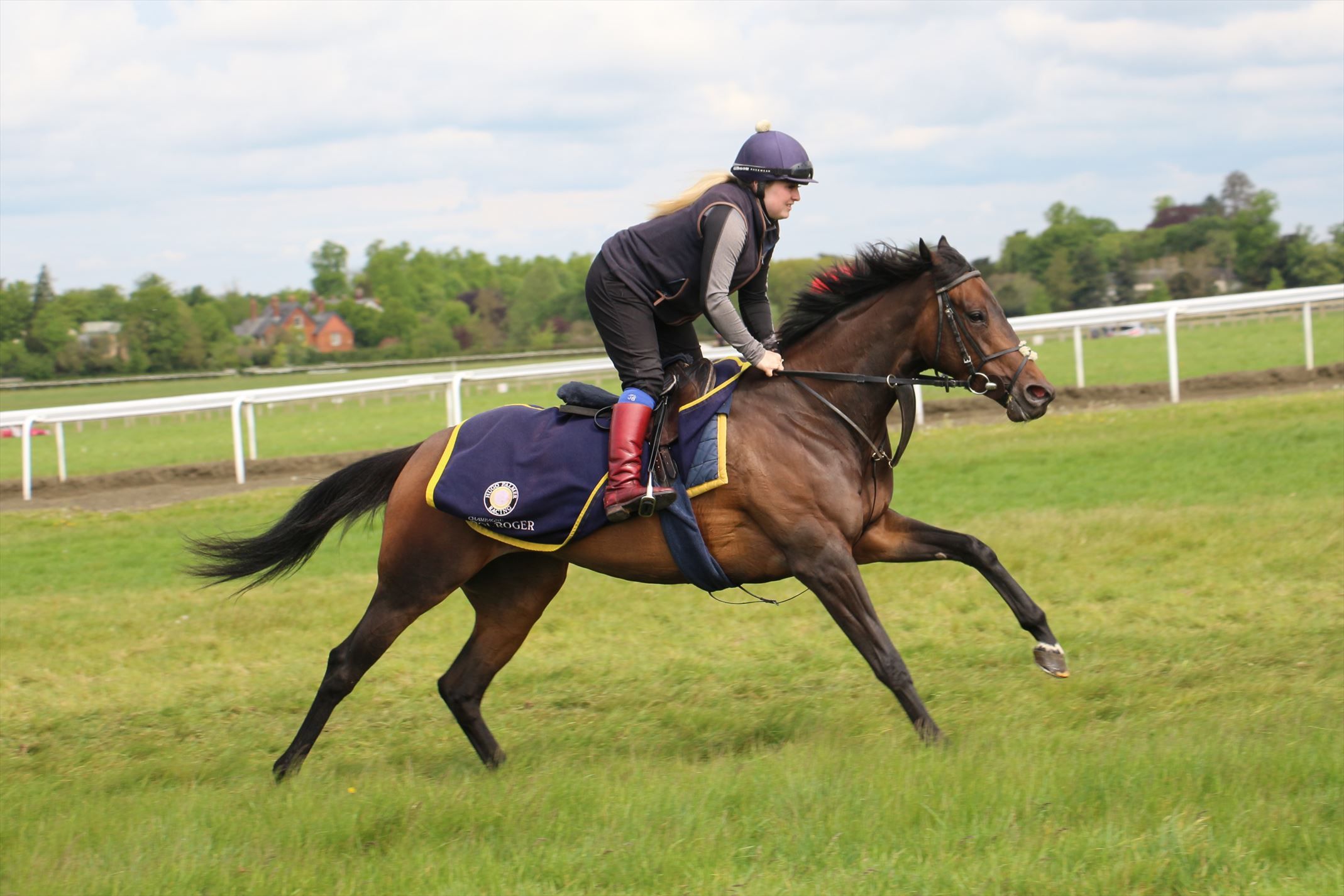 BR International - Imported Racehorses - Best Horse Racing Syndicates ...
