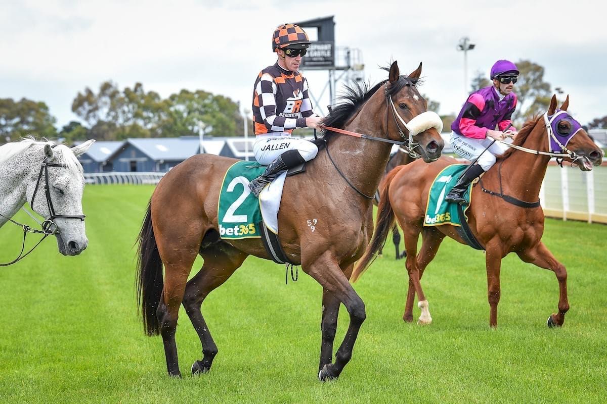 GREAT PAYDAY AS MAGNASPIN BREAKS THROUGH - Best Horse Racing Syndicates ...