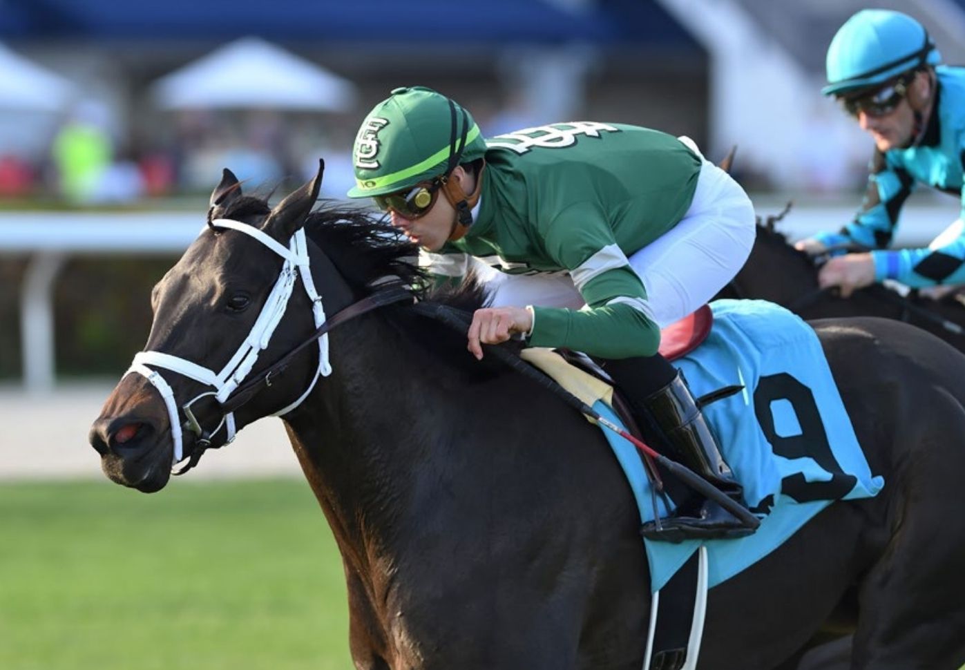 RESIDUAL VALUE AT WORK FOR MISS COUNTESSA (FR) OWNERS - Best Horse ...