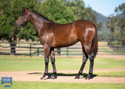 Bennett Racing - Best Horse Racing Syndicates & Racehorse Shares ...