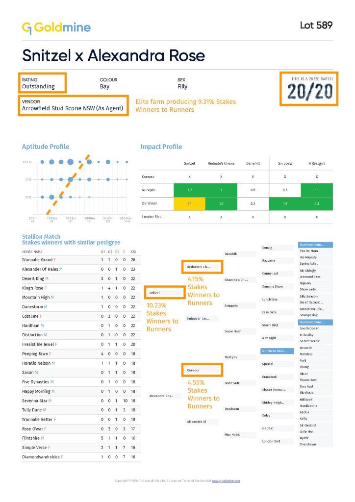 Lexy Rose - Best Horse Racing Syndicates & Racehorse Shares - Melbourne ...