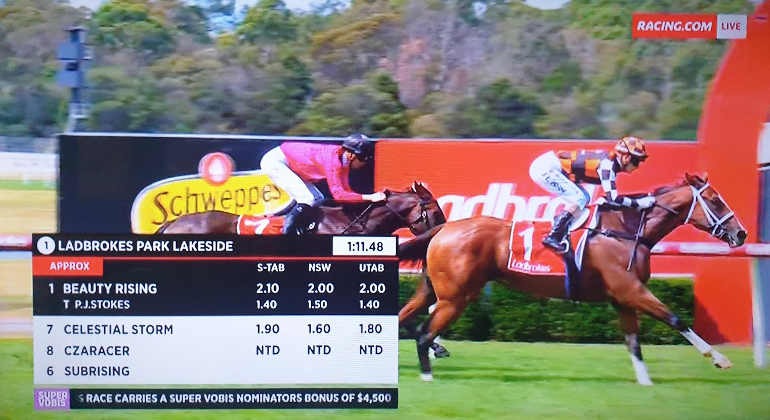 Bennett Racing - Best Horse Racing Syndicates & Racehorse Shares ...