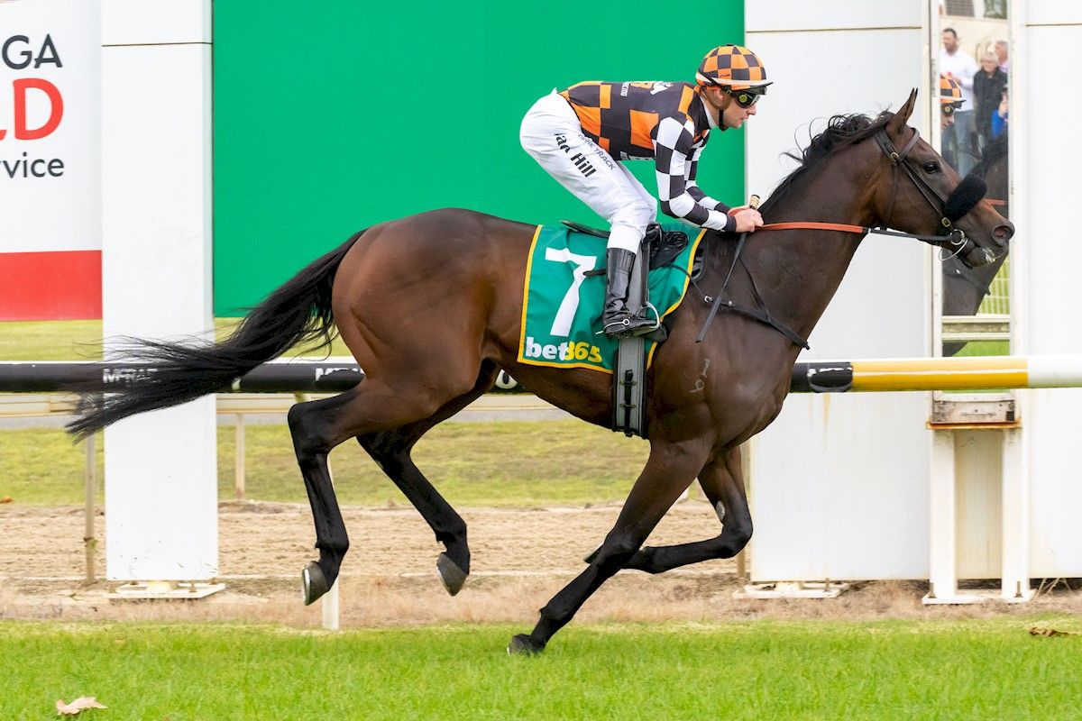 PATIENT OWNERS REWARDED BY STARWISP 3 LEN ROMP - Best Horse Racing ...