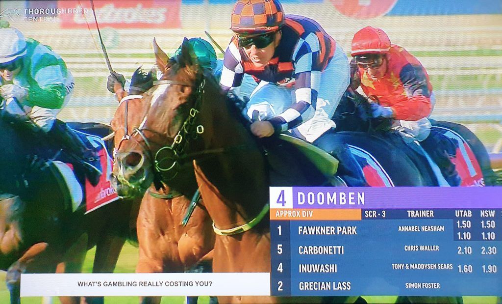 JUST A STROLL IN THE PARK FOR FAWKNER PARK - Best Horse Racing ...