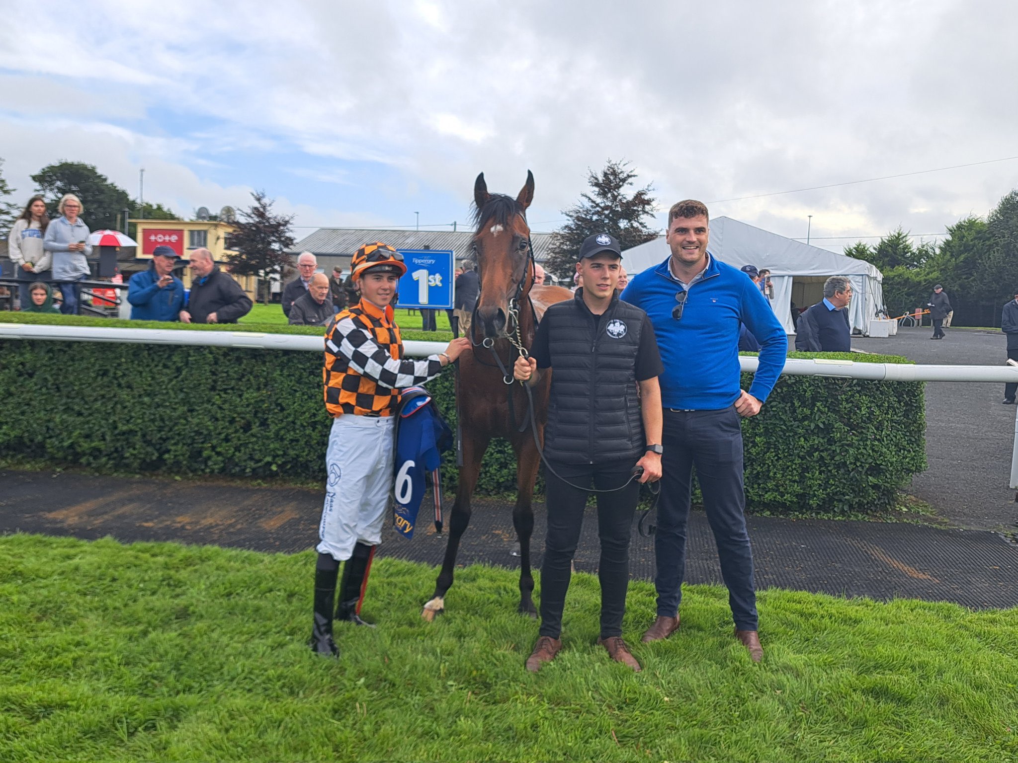 HERE’S CHEERS TO ASTRO - Best Horse Racing Syndicates & Racehorse ...