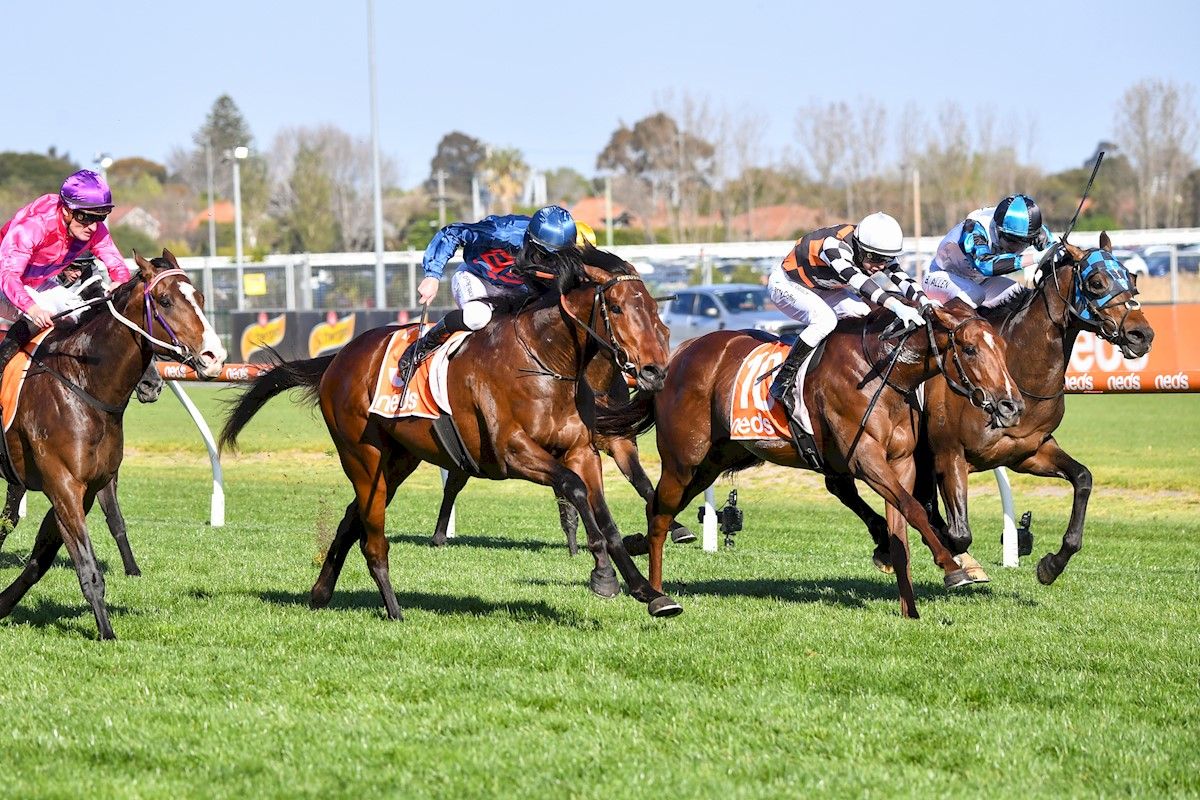 SOUTHPORT TYCOON EARNS HIS SPOT IN GR1 GUINEAS - Best Horse Racing ...