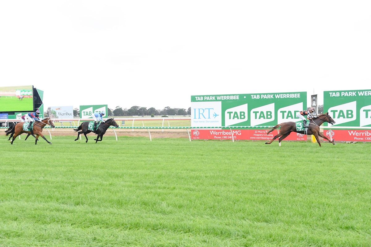 CHEVAL CHIC BOLTS IN 1ST UP - Best Horse Racing Syndicates & Racehorse ...