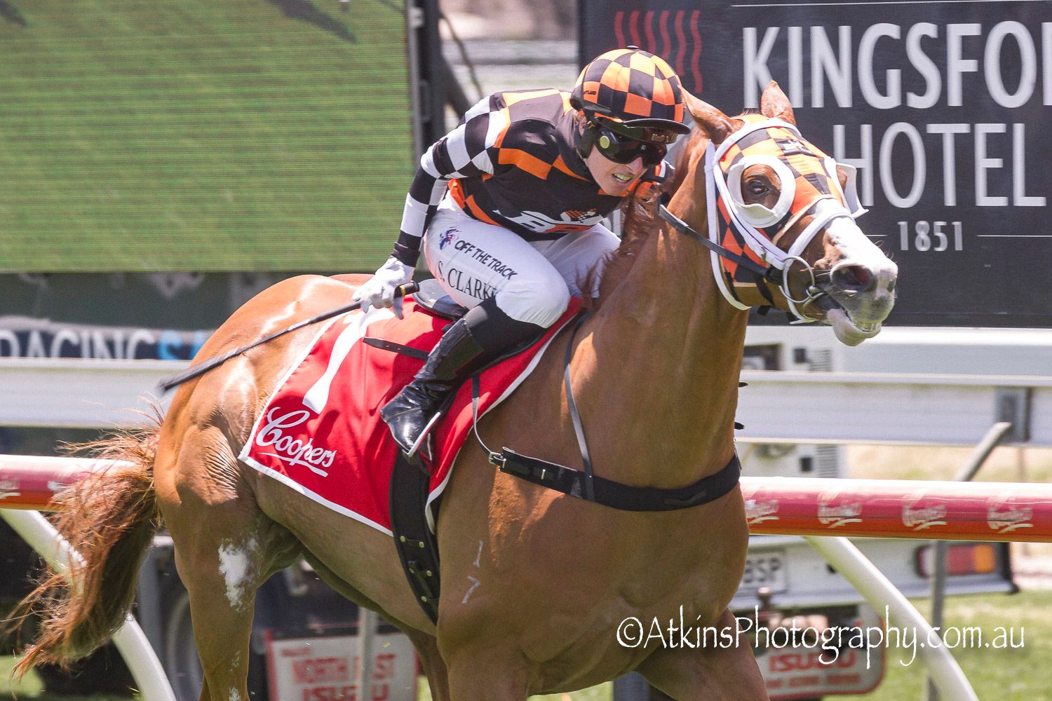 APACHE RACES AWAY FOR ANOTHER WIN - Best Horse Racing Syndicates ...