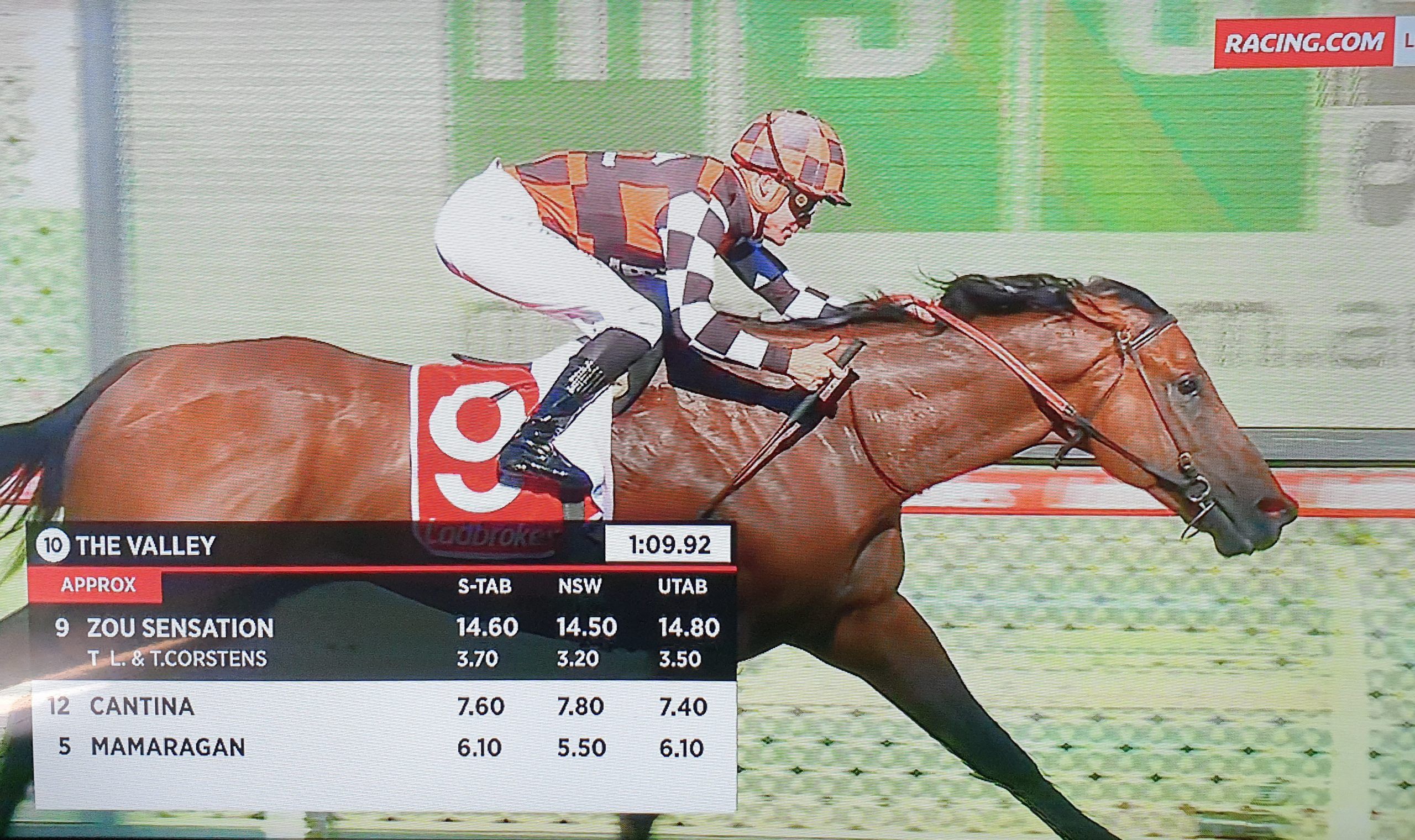 BENNETT RACING MAGIC MILLIONS 2023 - Best Horse Racing Syndicates ...