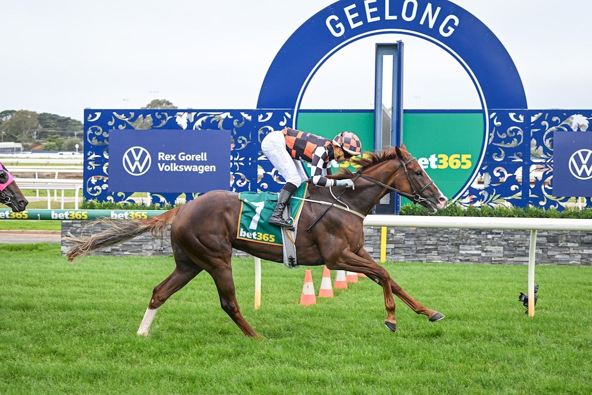 CHEVAL CHIC MAKES IT TWO ON THE BOUNCE - Best Horse Racing Syndicates ...