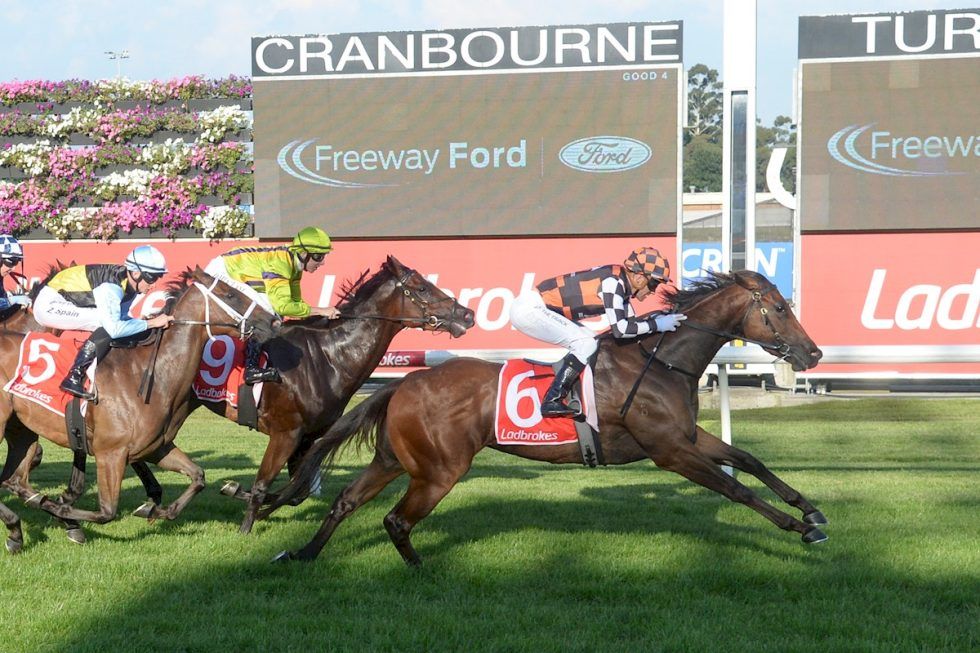 LADY CEDERBERG TOO STRONG 1ST UP - Best Horse Racing Syndicates ...